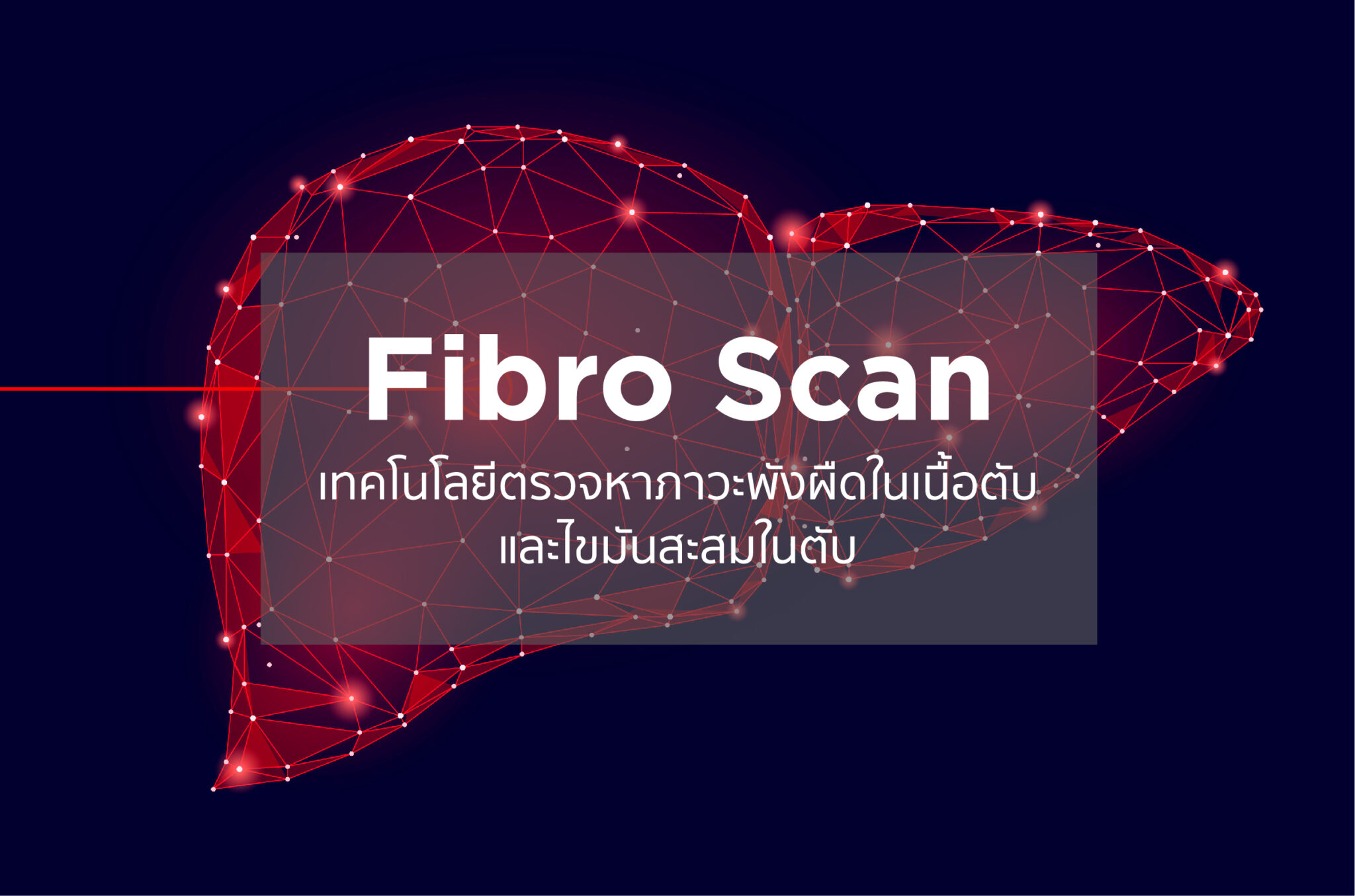 Fibro Scan เทคโนโลยีตรวจหาภาวะพังผืดในเนื้อตับ และไขมันสะสมในตับ ...